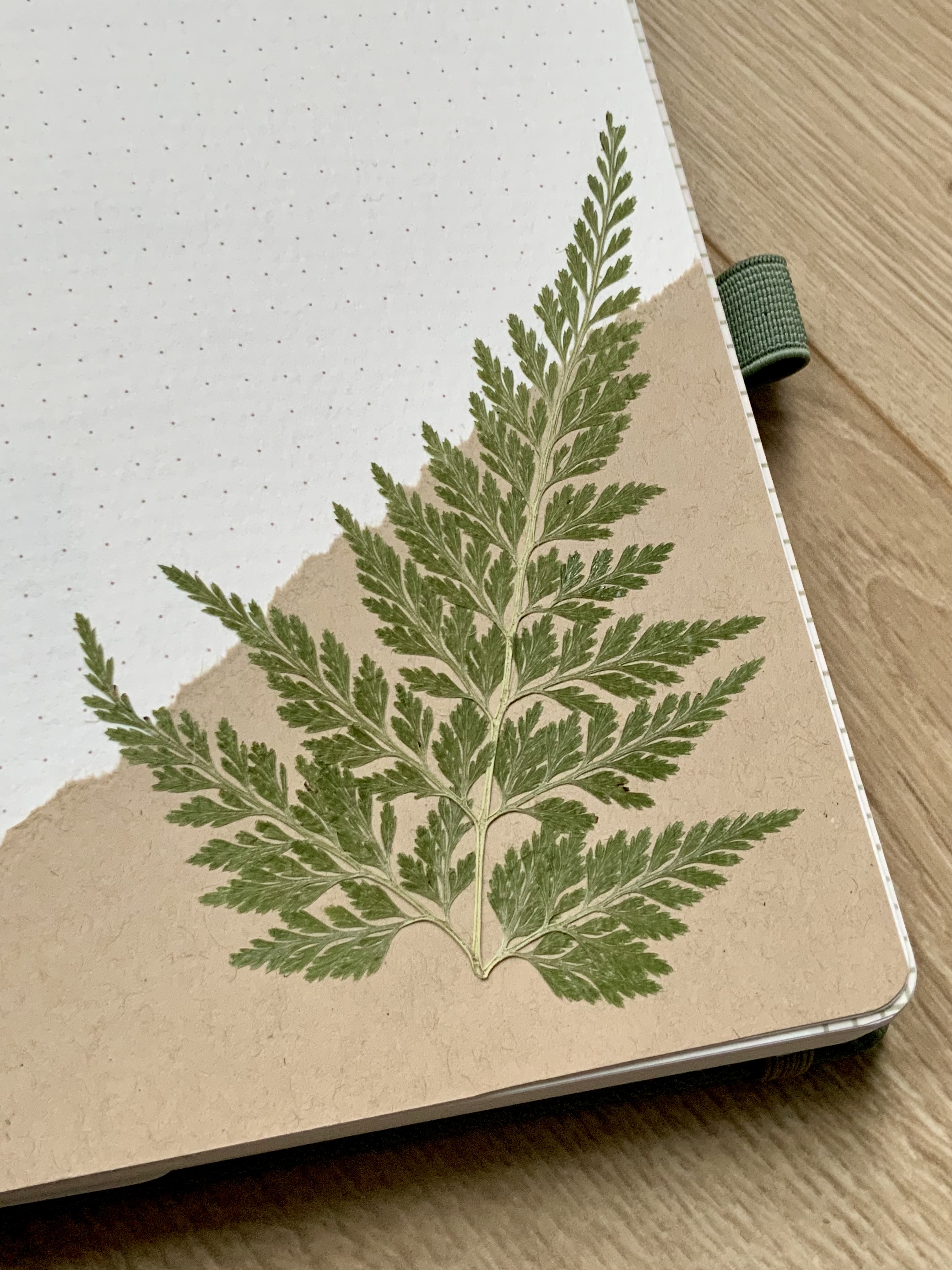 How to set up a Reading Journal – Petites Pensées Papeterie