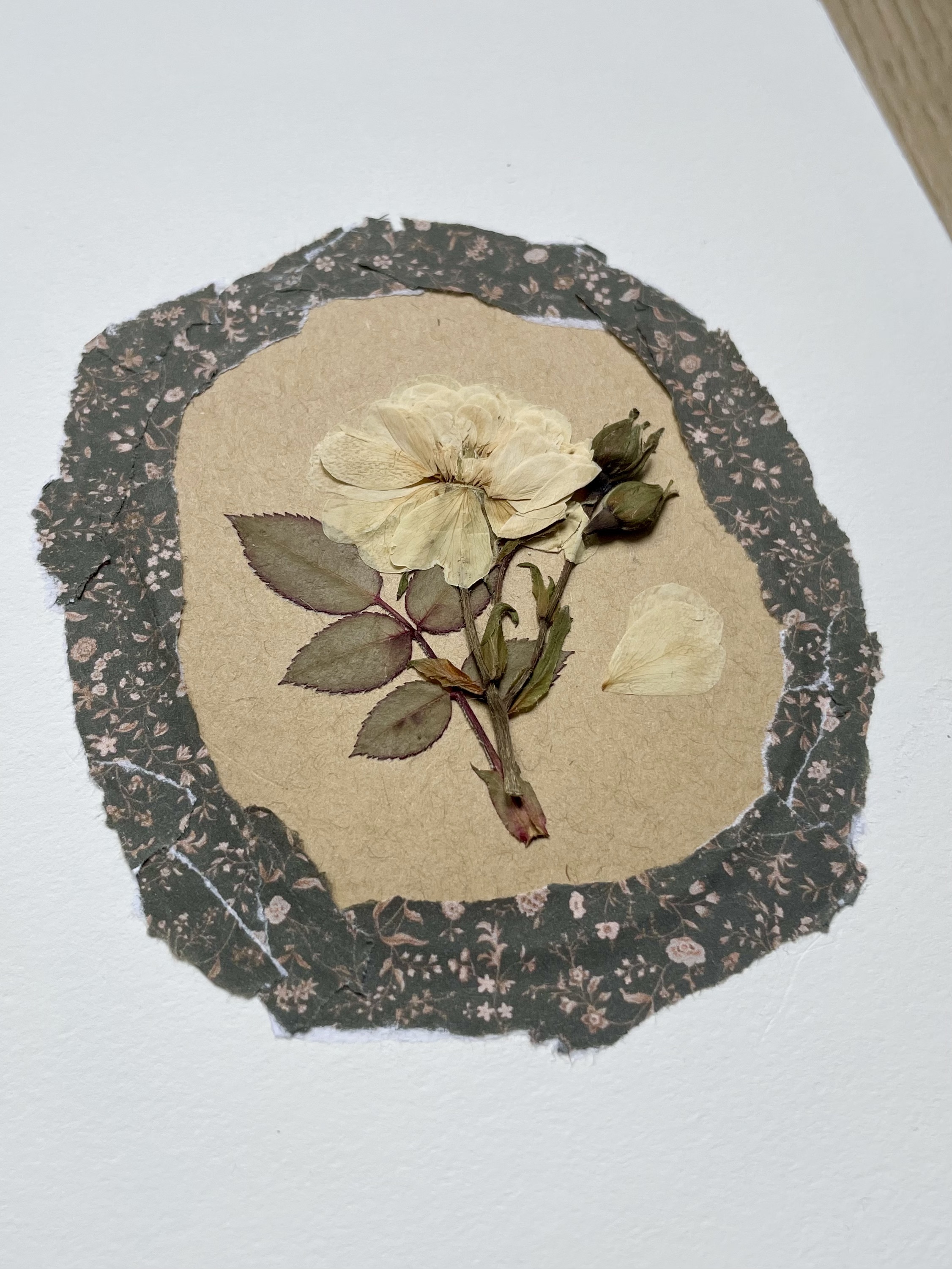 Creating a romantic bullet journal theme using pressed roses – Petites ...